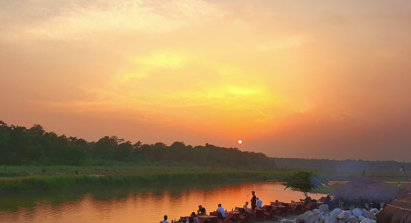 Chitwan National Park Jungle Safari Tour | Packages | Cost