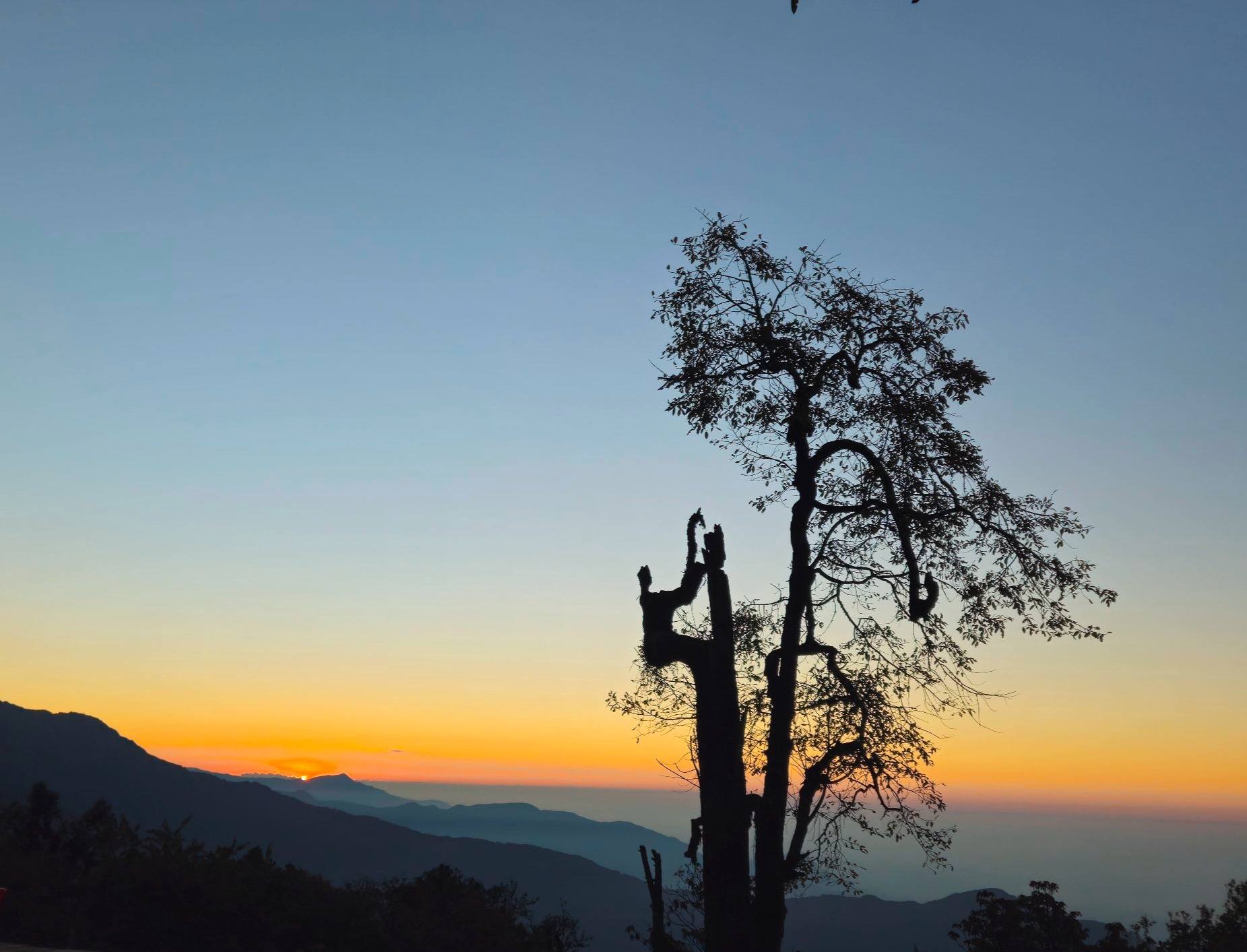 Mardi Himal Base Camp 5 Day Trek from Pokhara